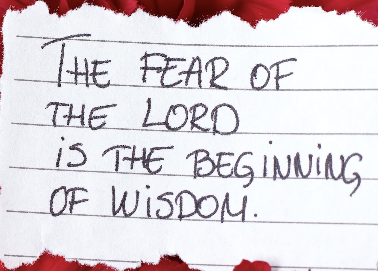 The difference between strange fire and obedience - The Daily Jot